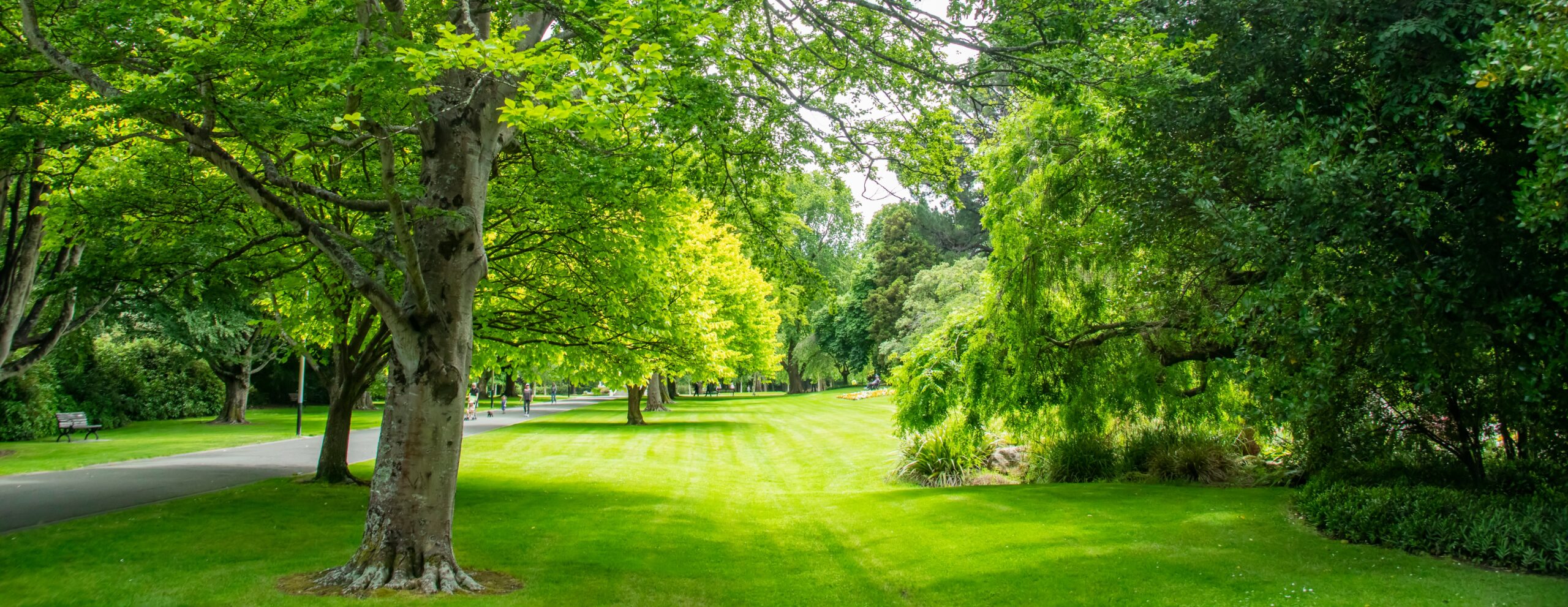 Parks and Leisure Planning - The CDS Group